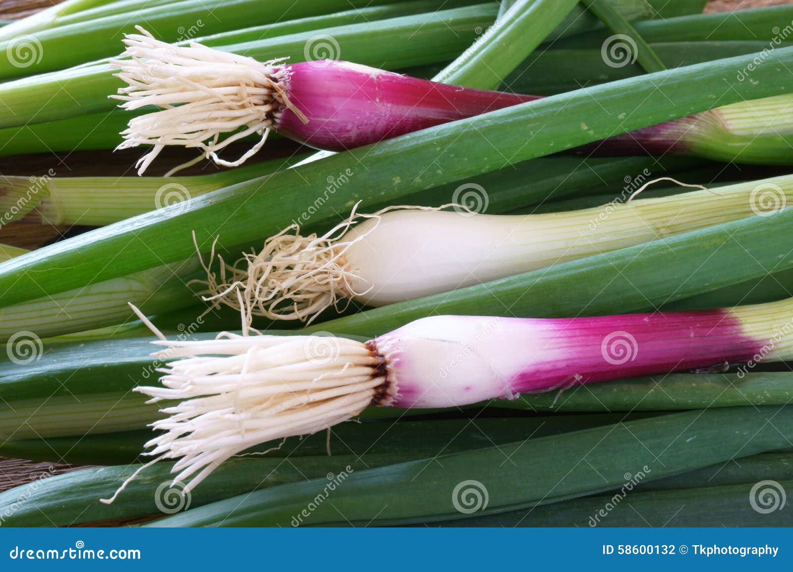 Red spring onions stock photo. Image of cutting, vegetable - 58600132