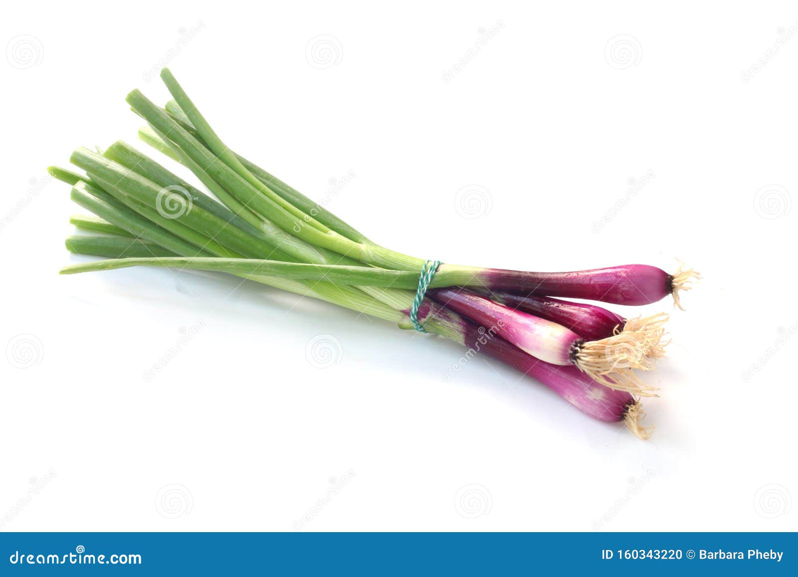 Red Spring Onions stock photo. Image of spring, vegetables - 160343220