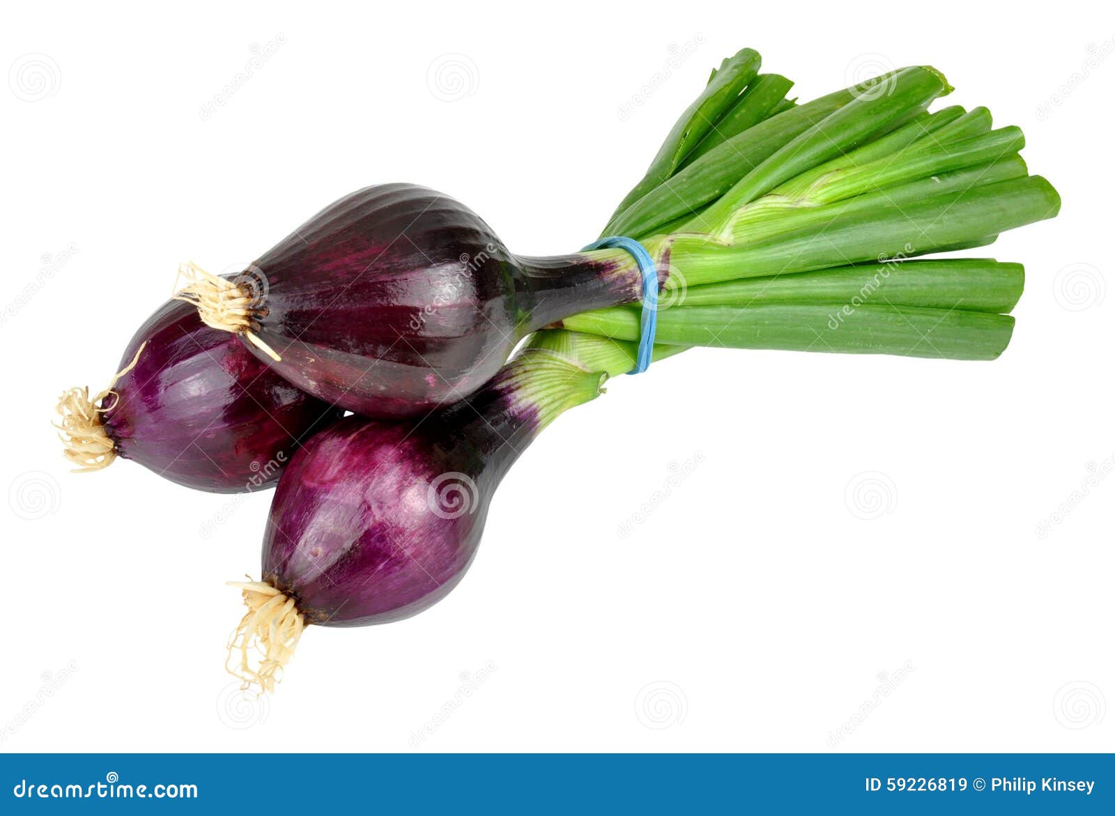 Red Spring Onions stock image. Image of vegetable, flavour - 59226819