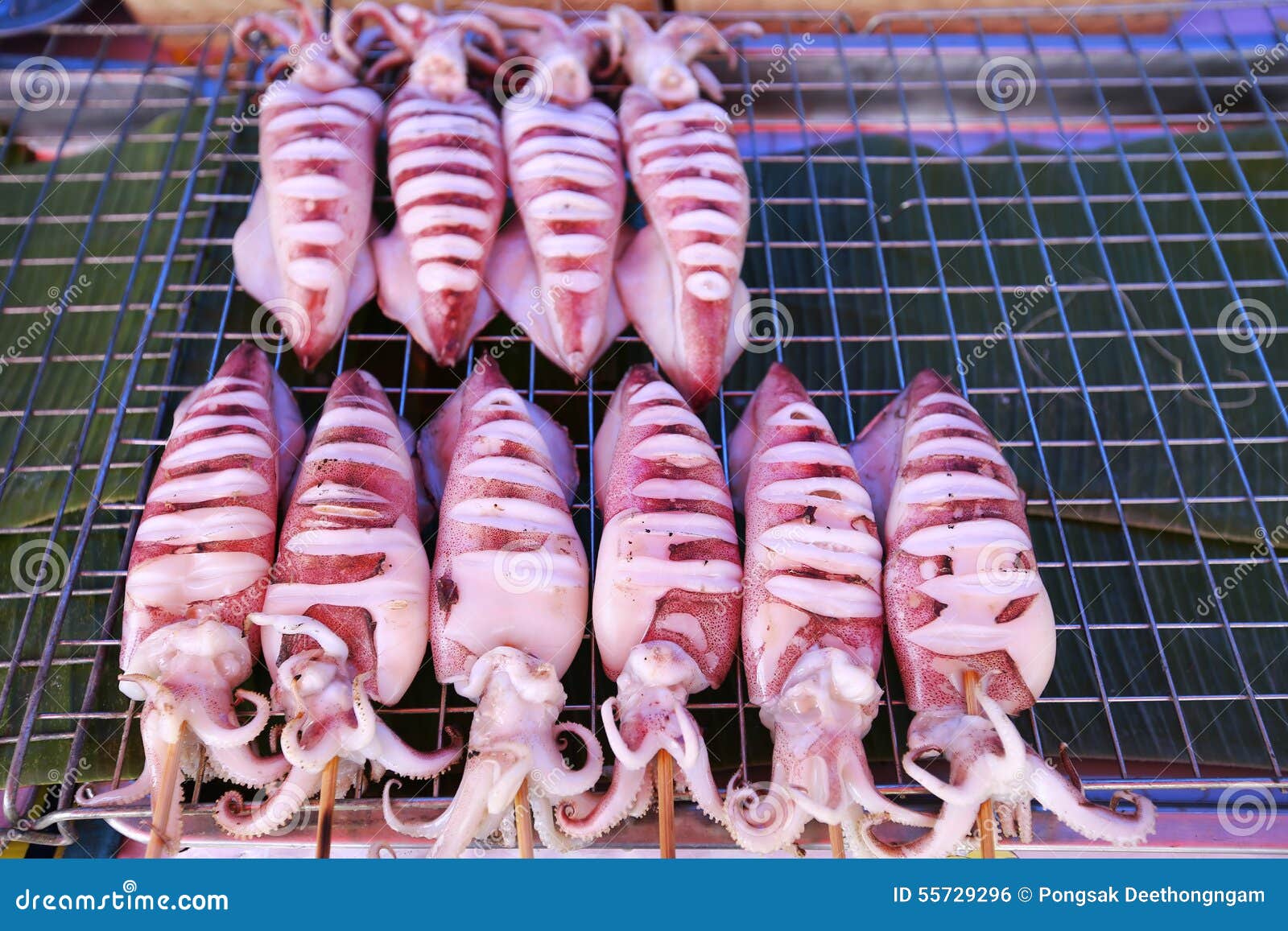 Red squids stock photo. Image of gourmet, cook, natural - 55729296