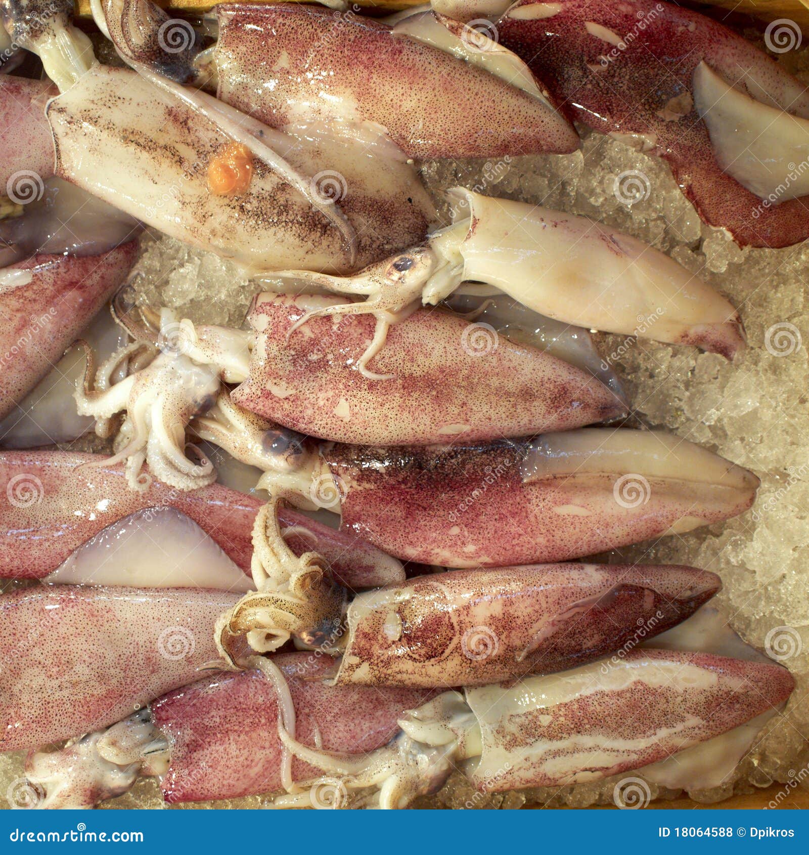 Red Squids Closeup, Natural Background Stock Photo - Image of culture ...