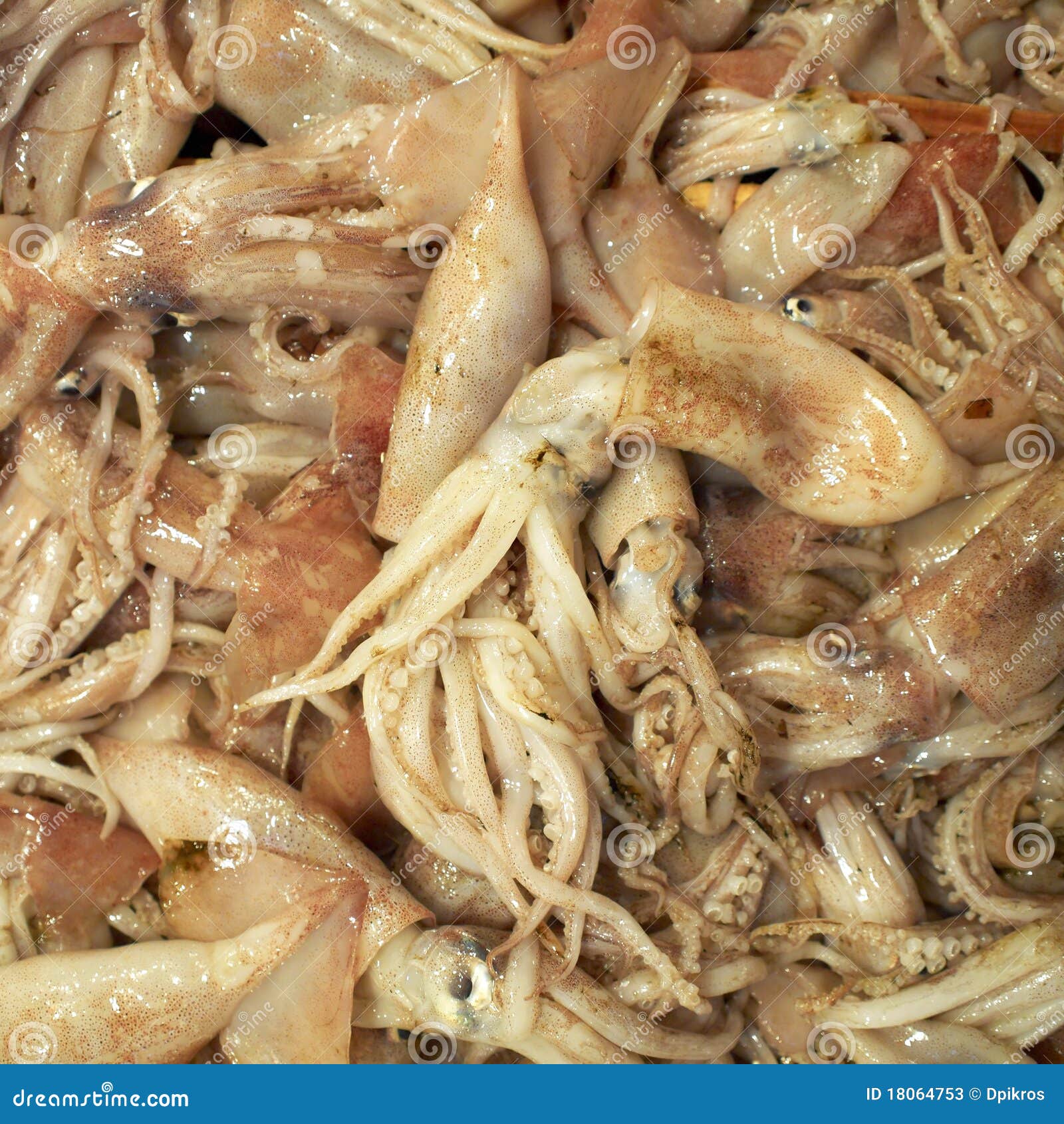 Red Squids Closeup, Natural Background Stock Image - Image of meal ...