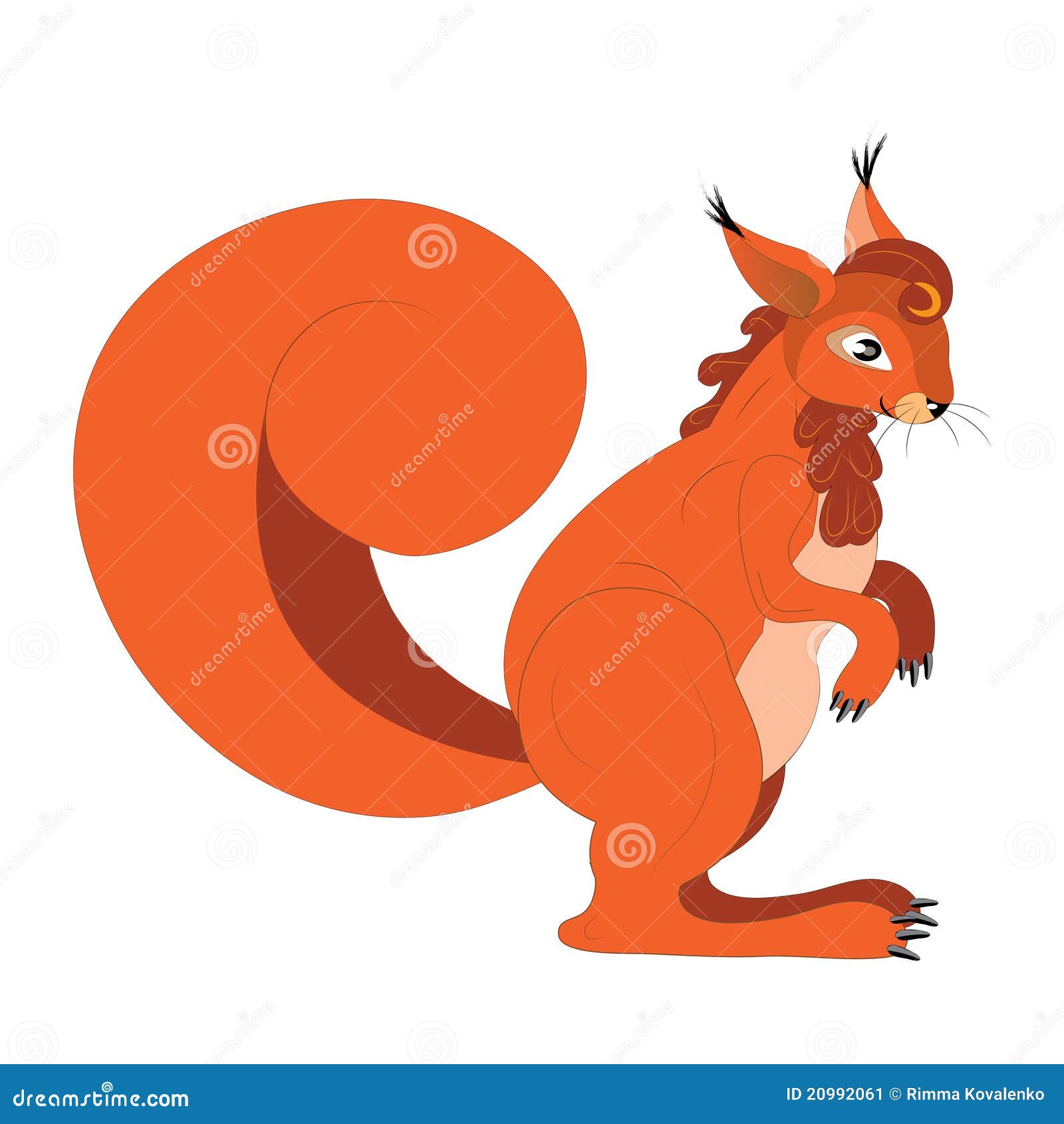 The red squirrel. stock vector. Illustration of wool - 20992061