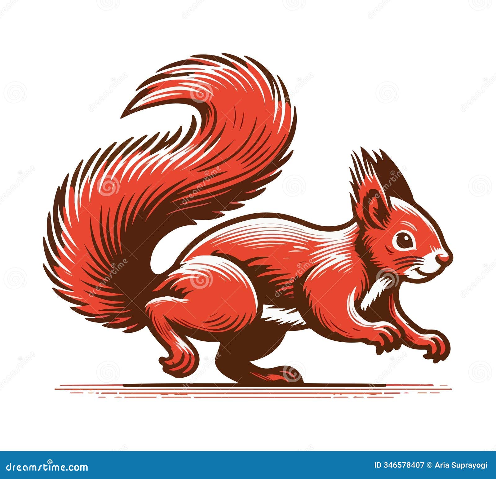 Red Squirrel Hand Drawn Vintage Vector Stock Vector - Illustration of ...