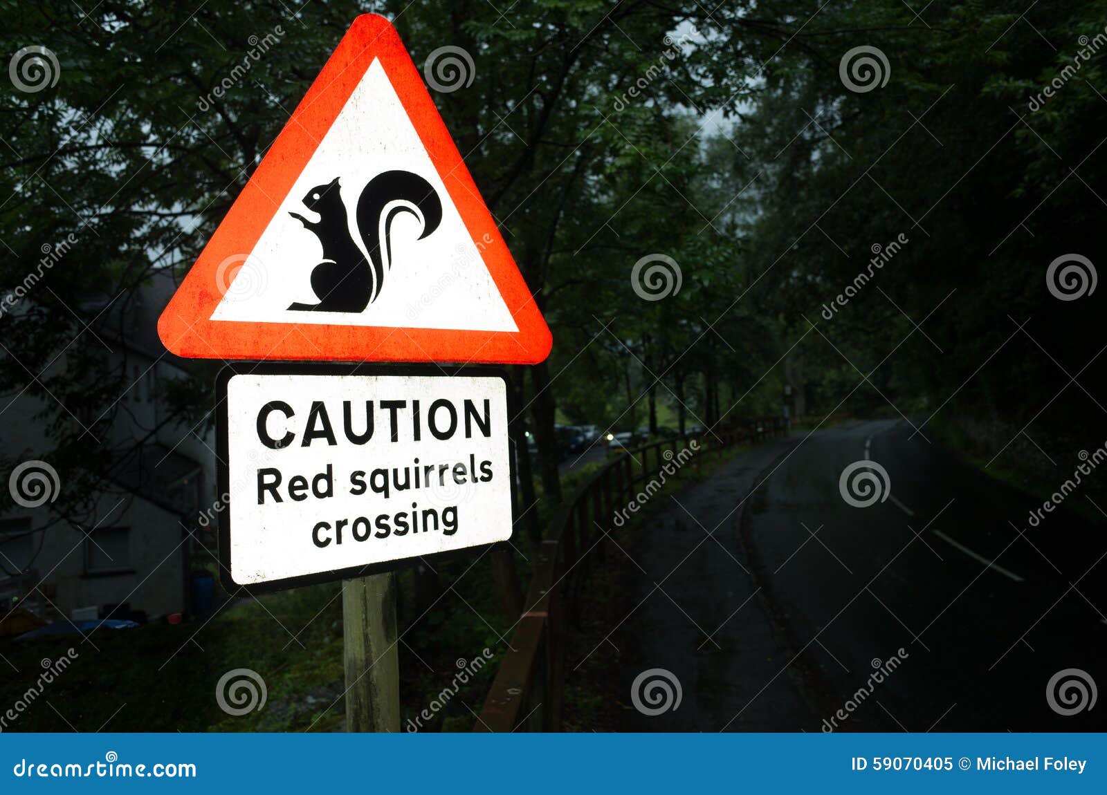 Red squirrel stock image. Image of triangle, squirrel - 59070405