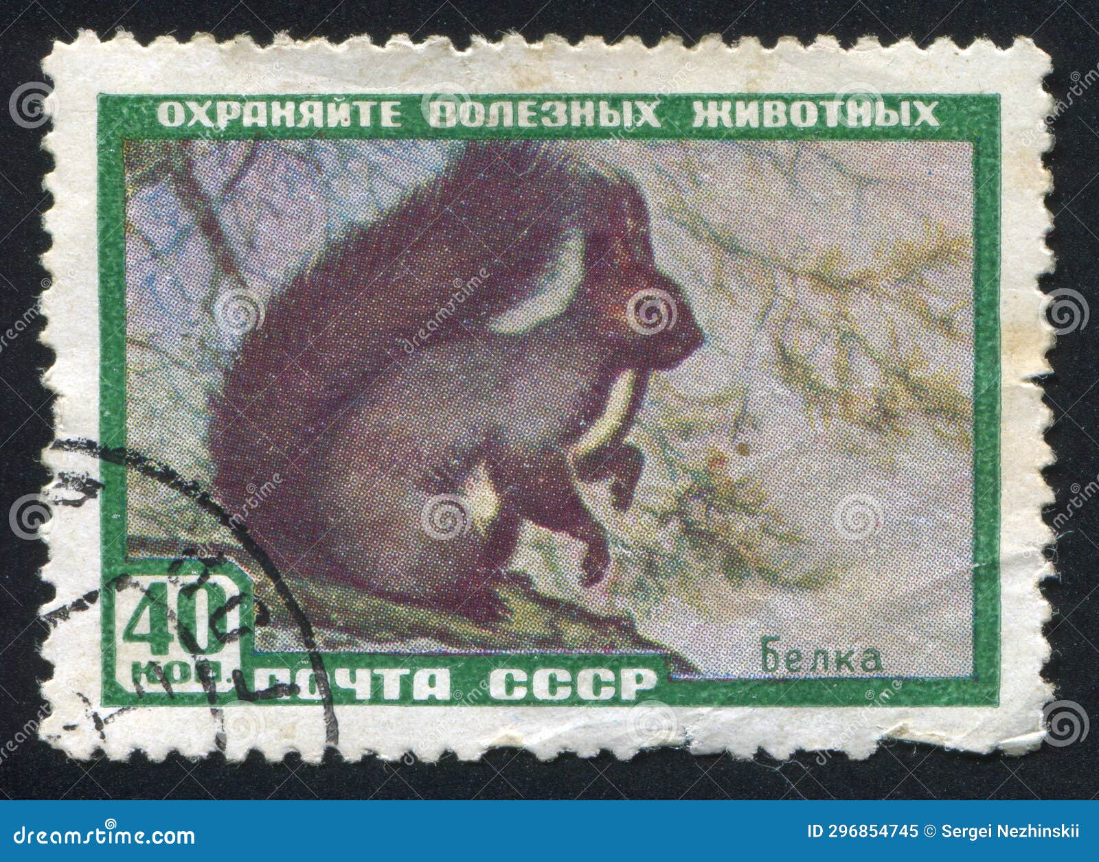 Red squirrel stock image. Image of eyes, seal, postmark - 296854745