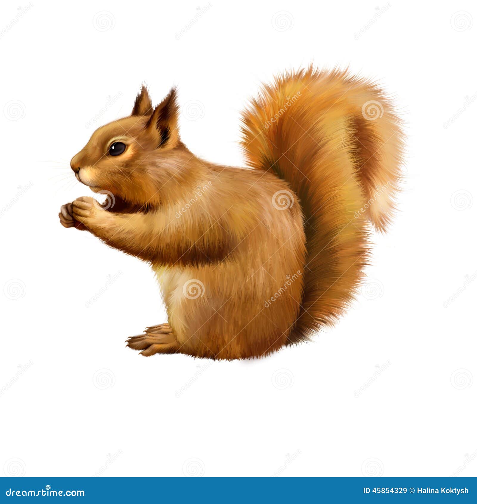 Sciurus Cartoons, Illustrations & Vector Stock Images - 3985 Pictures ...