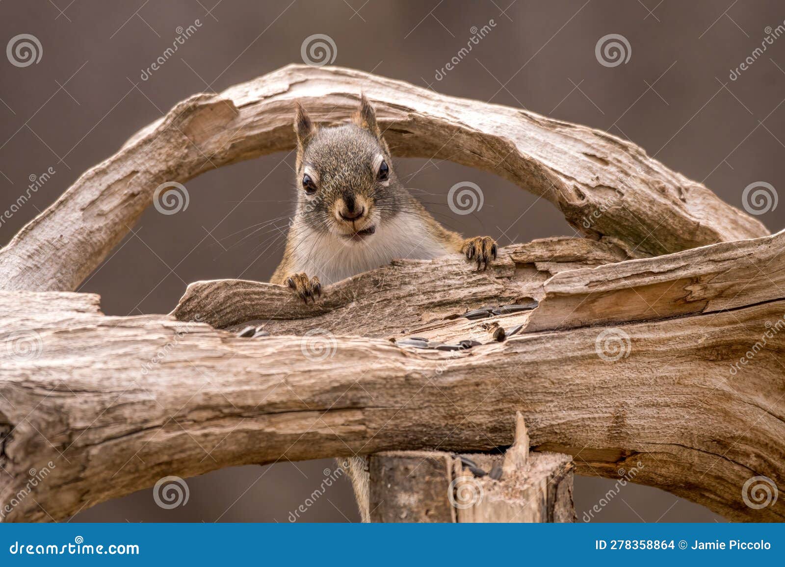 Look Under The Roadway Stock Photography | CartoonDealer.com #72728348