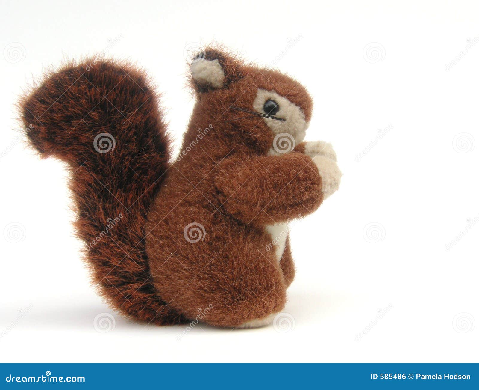 Red squirrel toy stock photo. Image of small, cute, tail - 585486