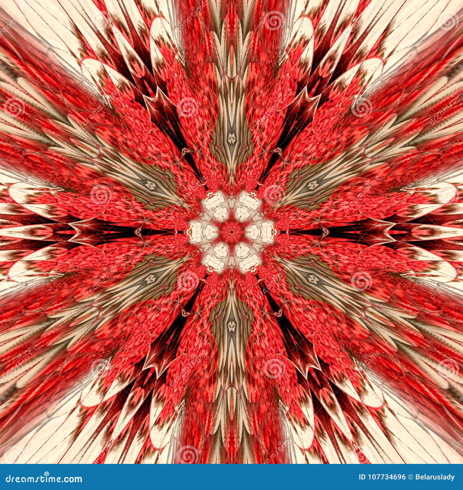 Red star rose mandala stock photo. Image of diamond - 107734696