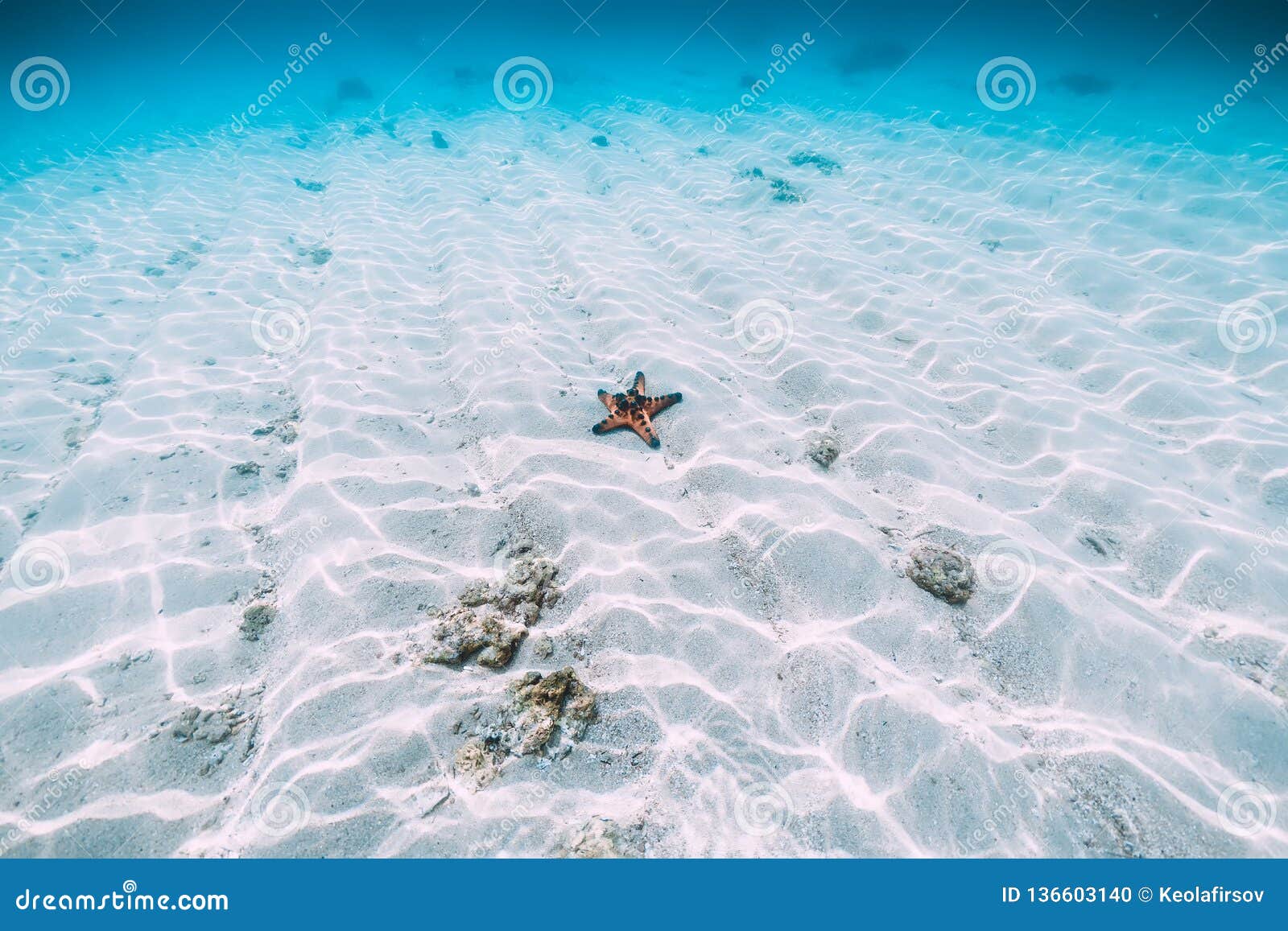 Red Starfish in Blue Ocean with White Sand Stock Photo - Image of gili ...