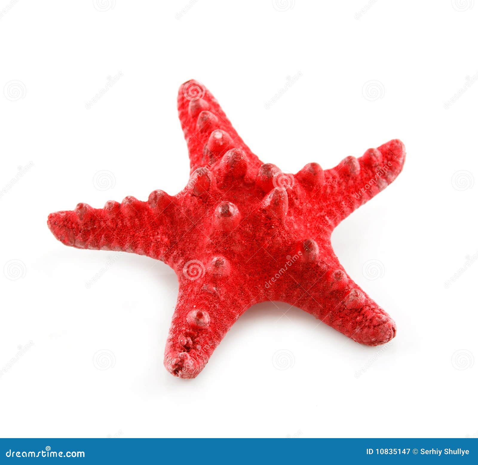 Red Starfish Isolated on a White Stock Image - Image of macro, scene ...