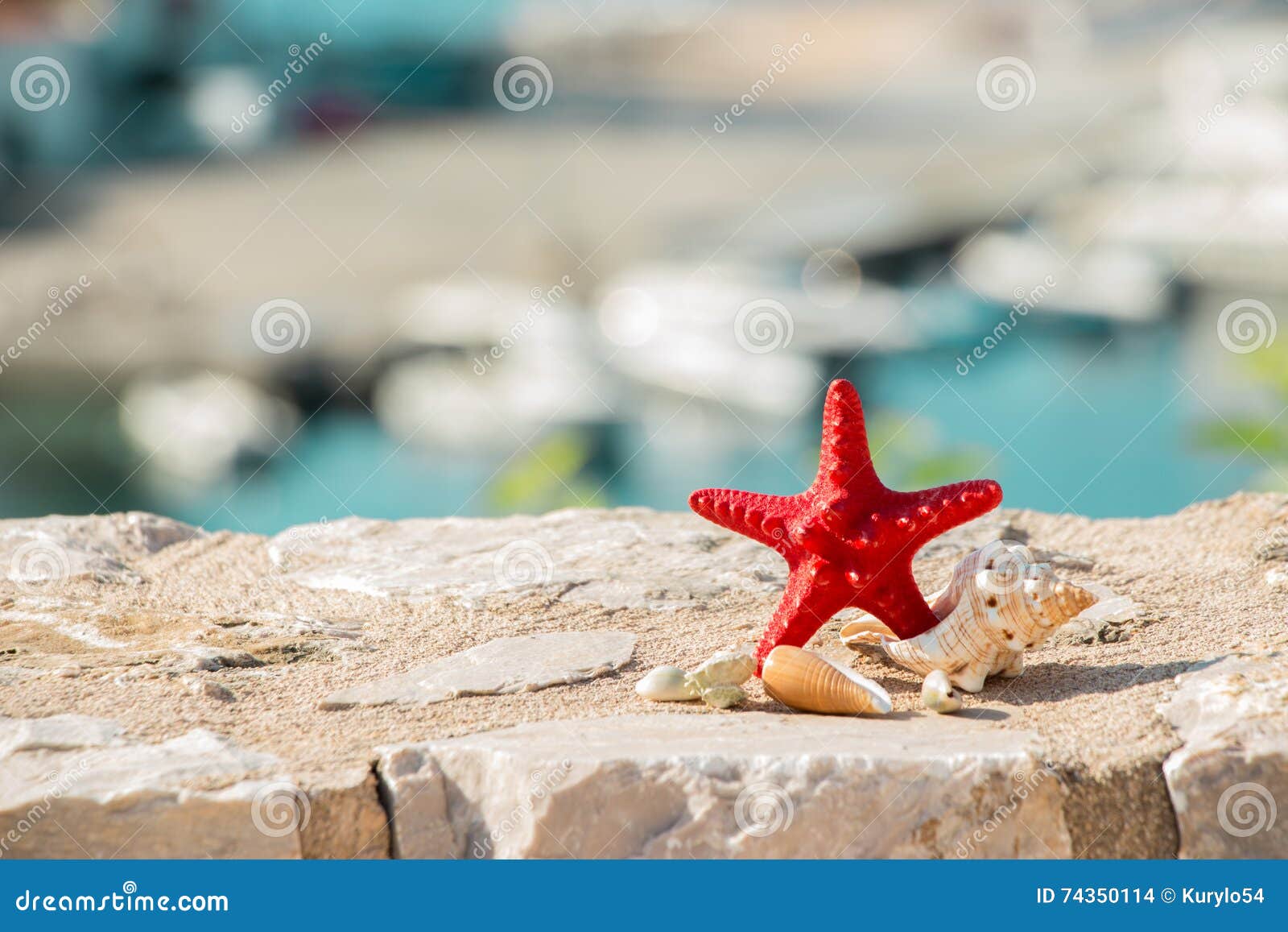 Red Starfish and Seashells. Stock Photo - Image of decoration, closeup ...