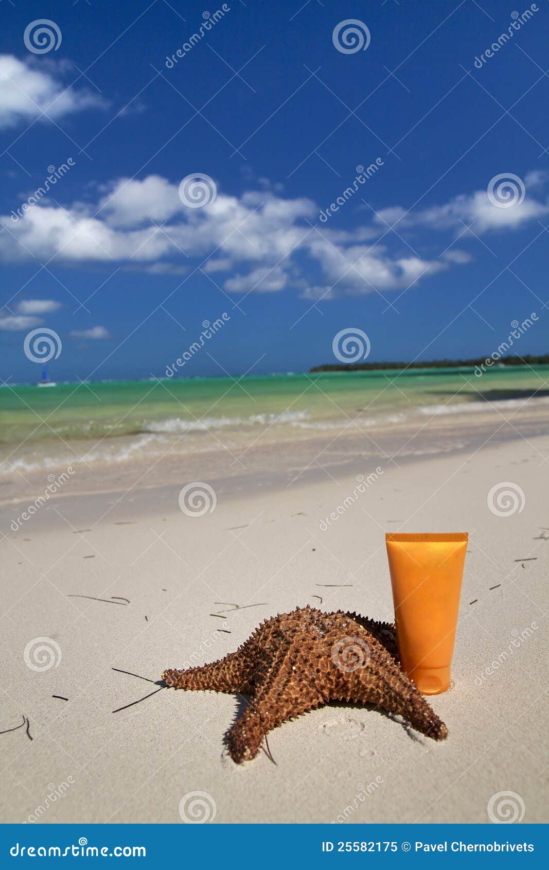 Red Starfish on Tropical Beach Stock Image - Image of nautical, hawaii ...