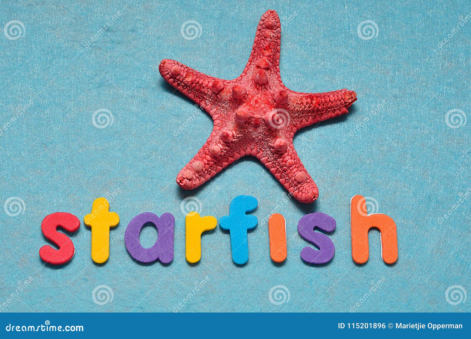 A Red Starfish with the Word Starfish Stock Photo - Image of symbol ...