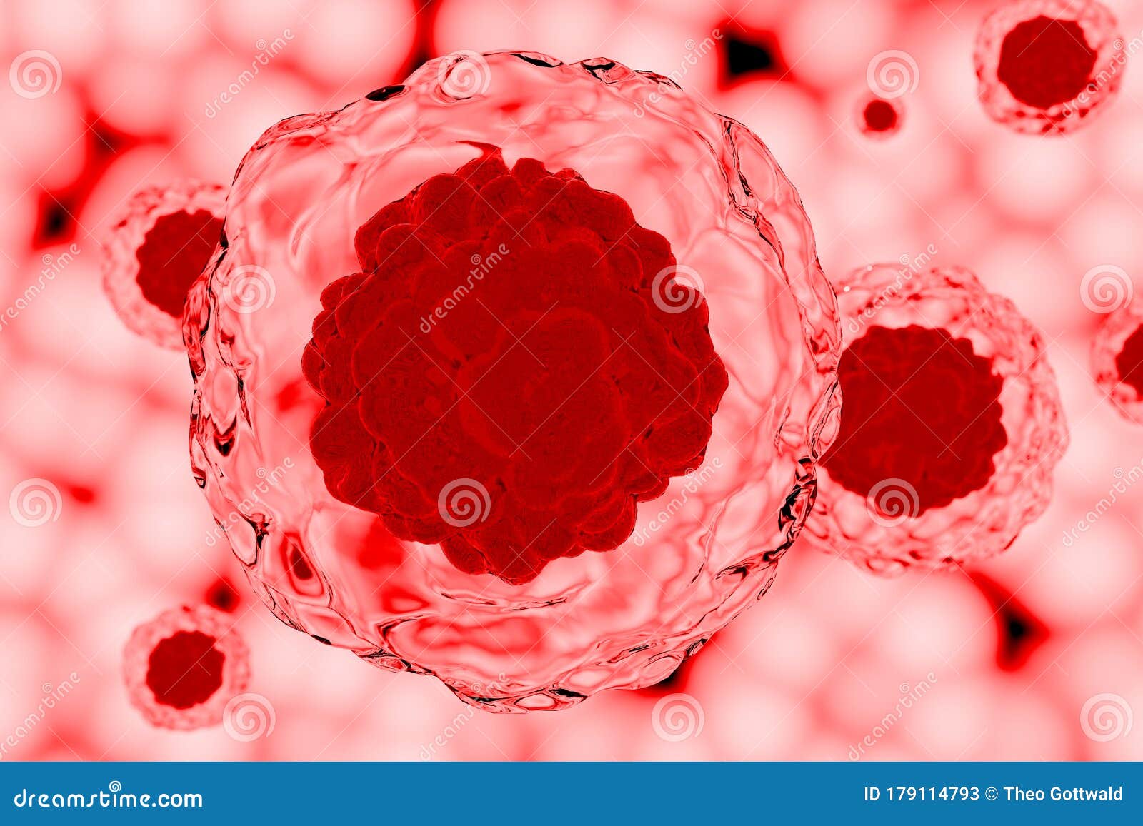 Red Stem Cells stock illustration. Illustration of pluripotent - 179114793