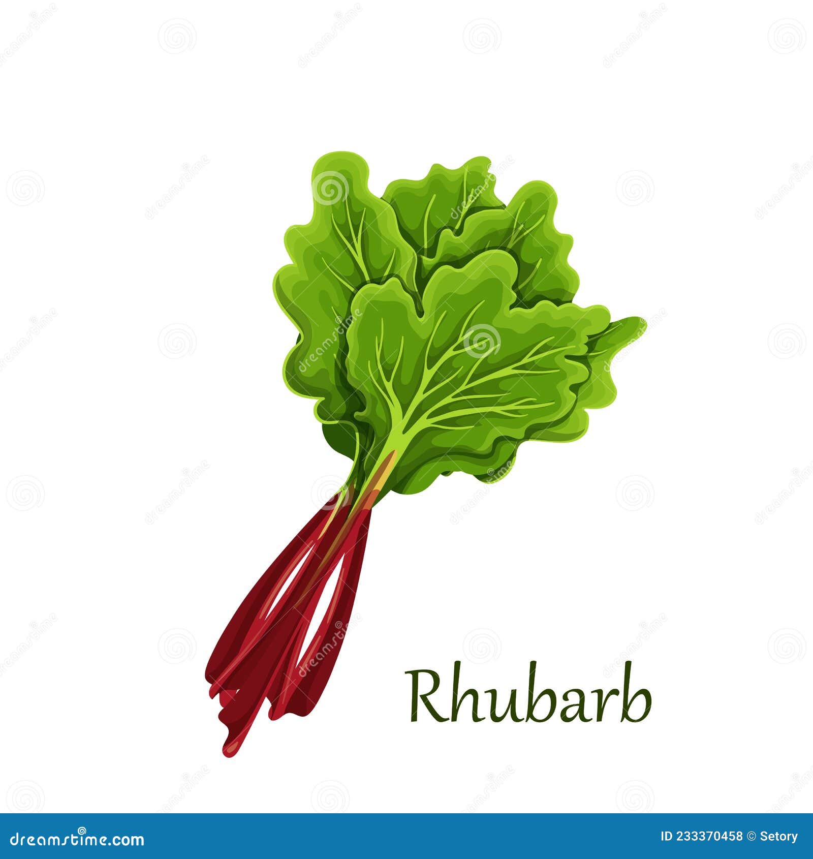 Red Stems of Rhubarb with Green Leaves Stock Vector - Illustration of ...