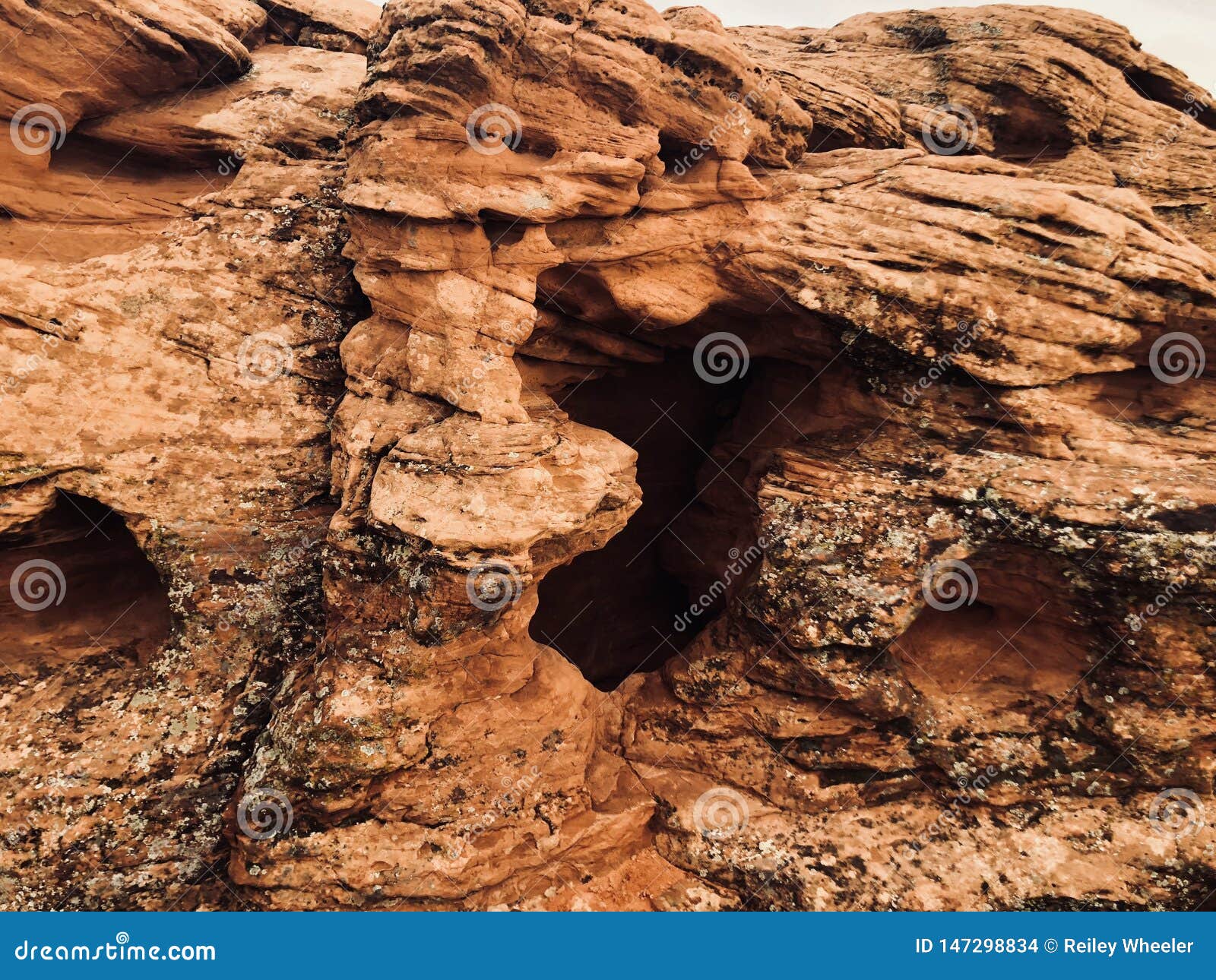 Red stone canyon stock photo. Image of deep, travel - 147298834