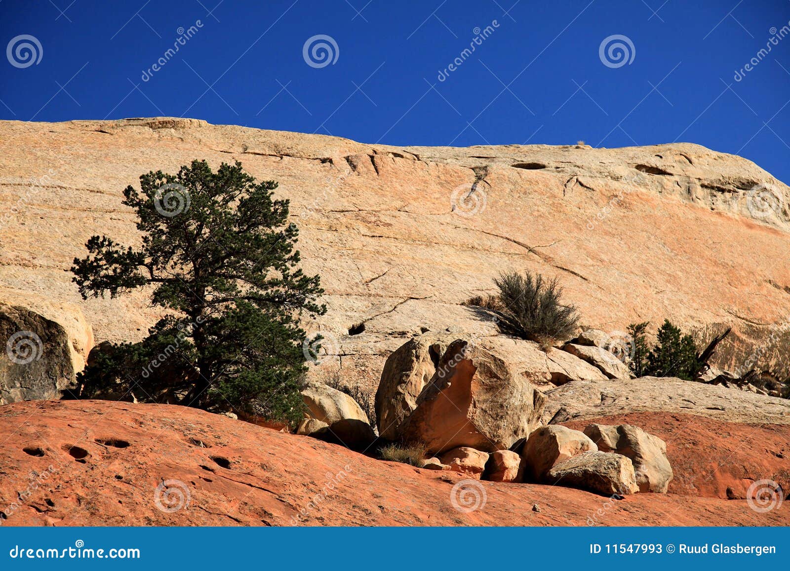 Red-stone dessert stock image. Image of sunny, dessert - 11547993
