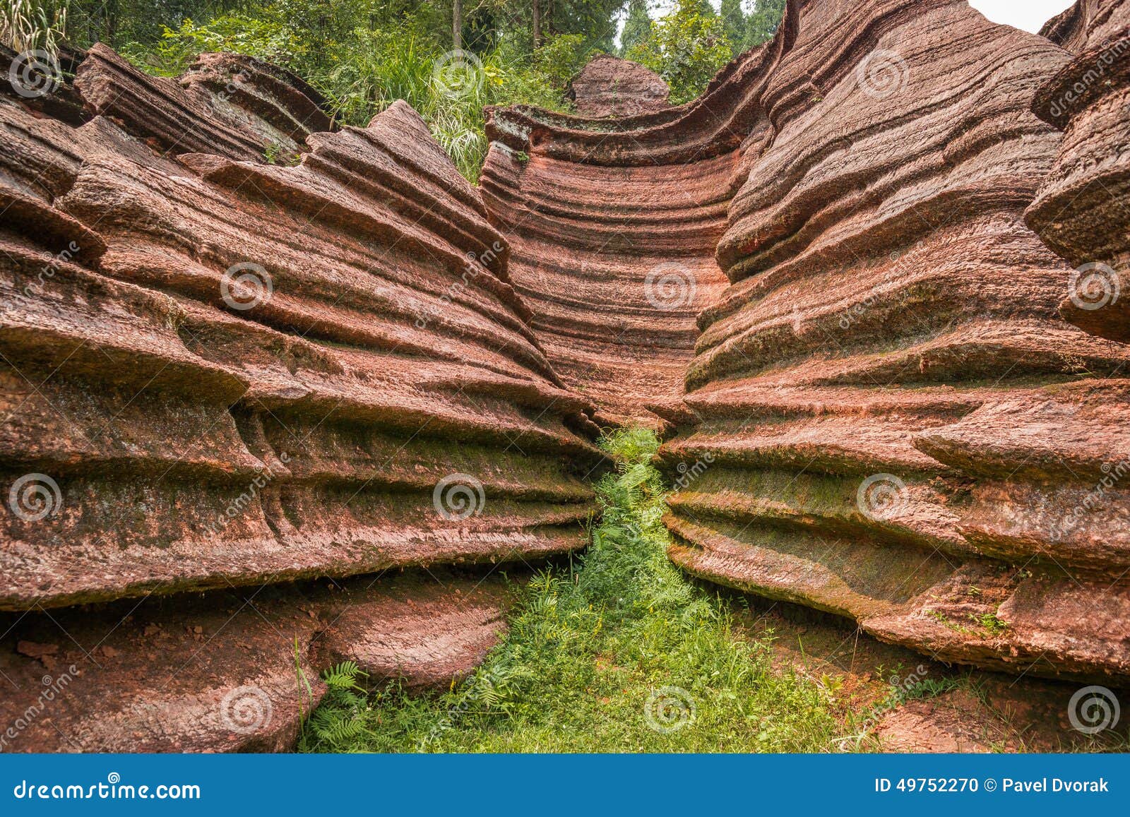 Red stone forest stock photo. Image of autumn, pretty - 49752270