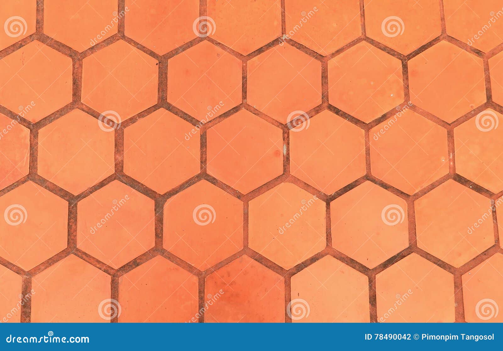 Red stone walkway stock photo. Image of leaf, footpath - 78490042