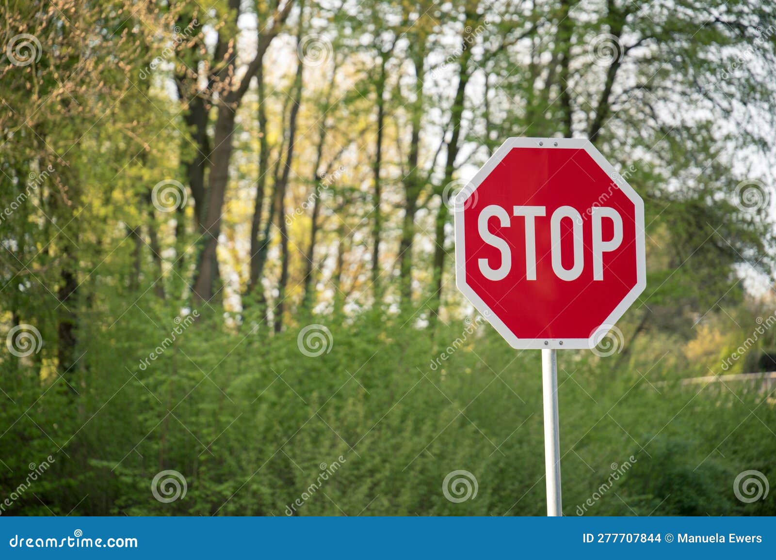 A Red Stop Sign in Front of a Small Patch of Forest Stock Photo - Image ...