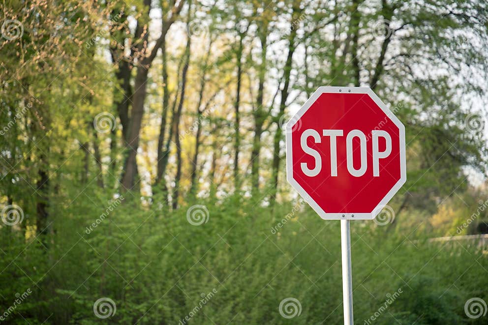 A Red Stop Sign in Front of a Small Patch of Forest Stock Photo - Image ...