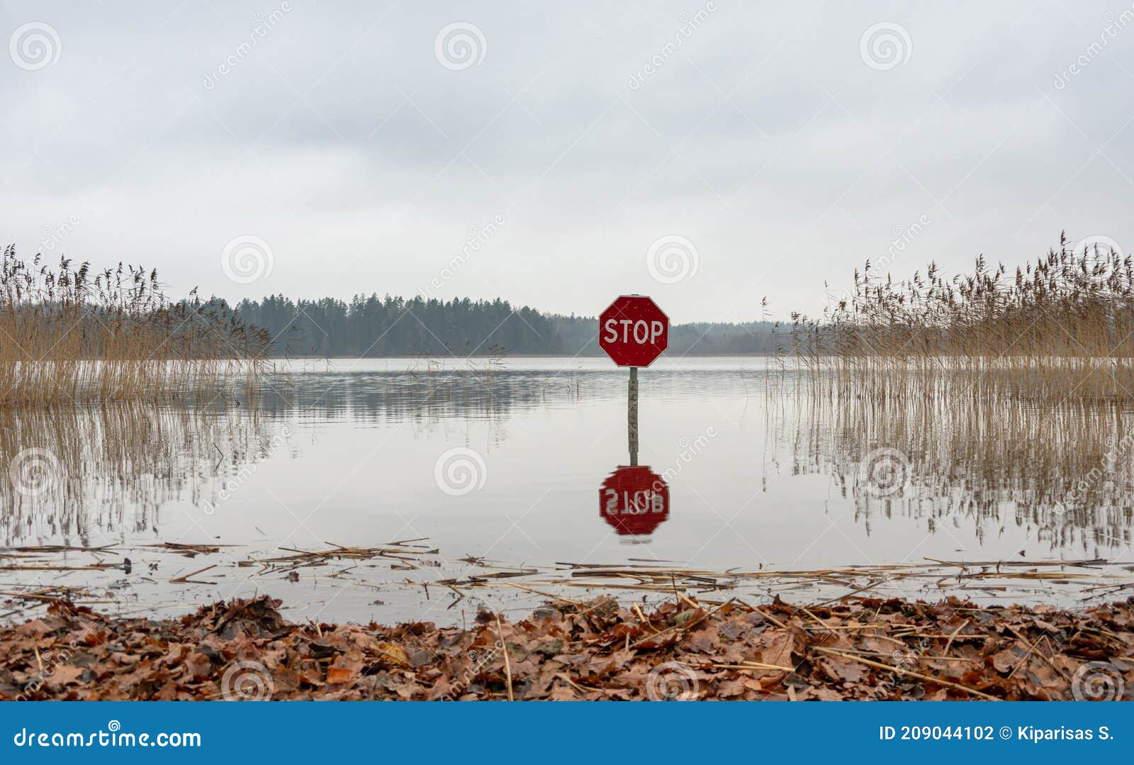 A Red Stop Sign in the Lake that Measures the Water Stock Photo - Image ...
