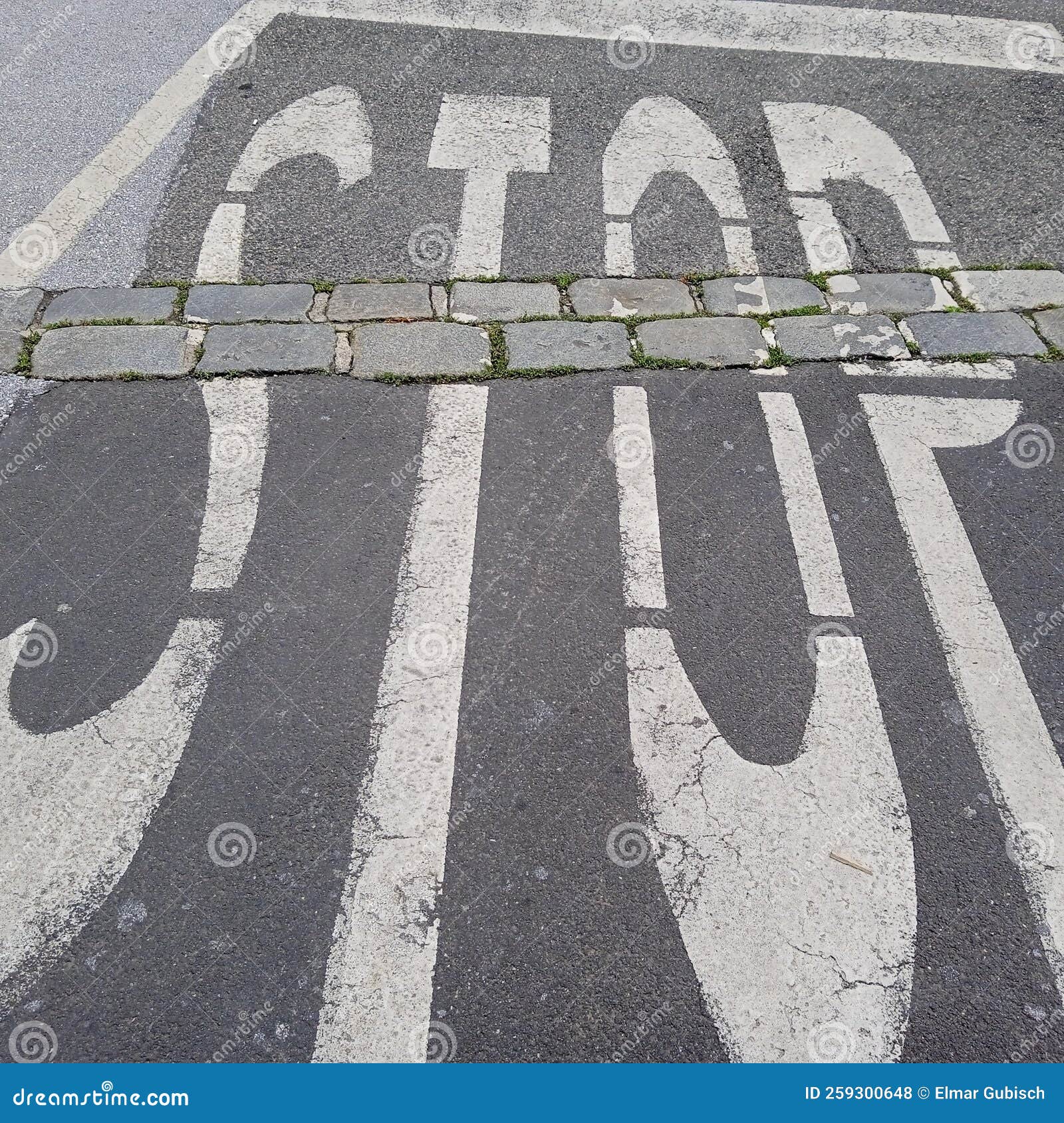 Red stop sign in traffic stock photo. Image of road - 259300648