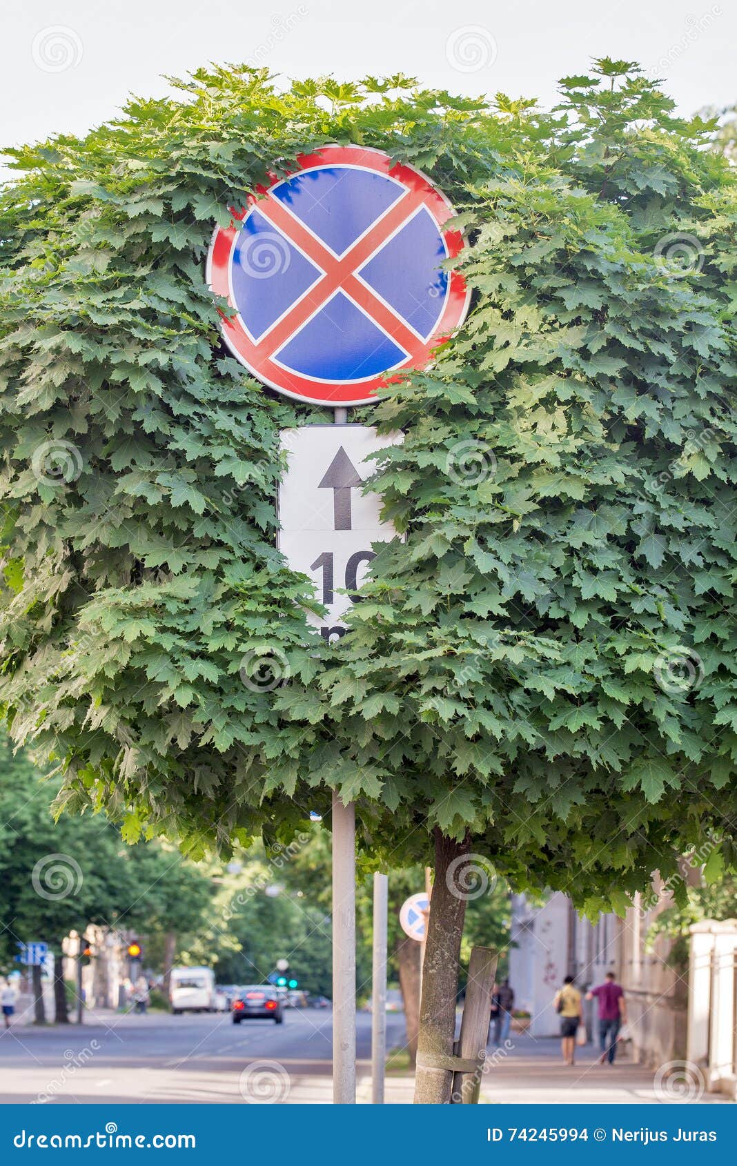 Red Stop Sign With Trees Stock Photography | CartoonDealer.com #74245994