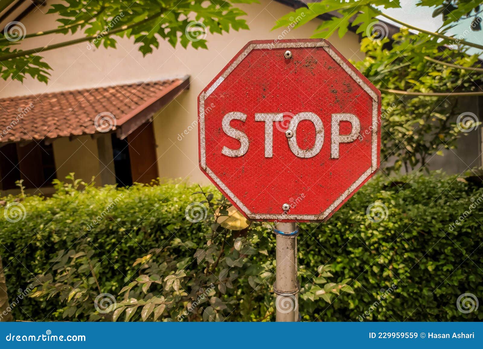 Red Stop Signs with Trees in the Background Stock Image - Image of ...