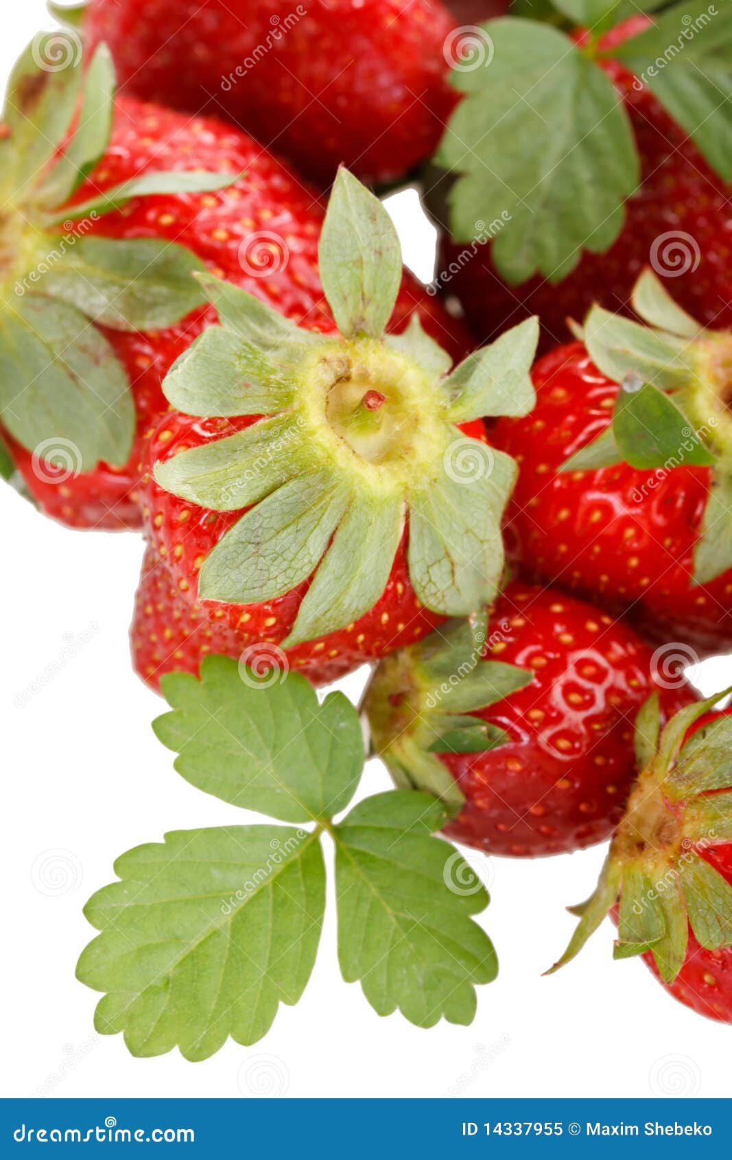 Red strawberries stock image. Image of organic, fruit - 14337955