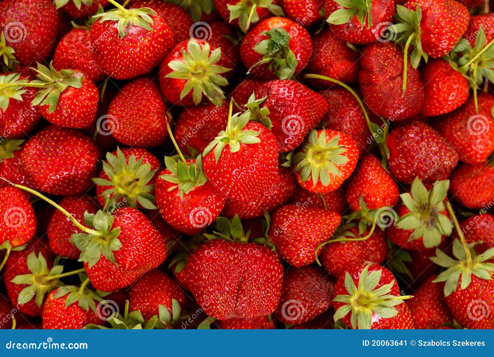 Red strawberries stock image. Image of sweet, berry, refreshment - 20063641