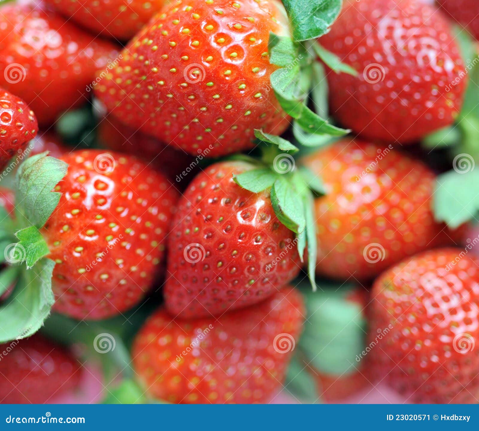 Red strawberries stock image. Image of delicious, group - 23020571
