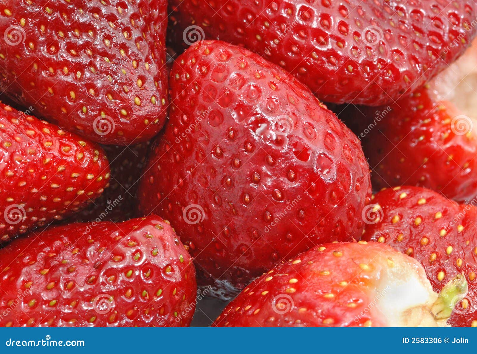 Red strawberries stock photo. Image of seed, spring, macro - 2583306