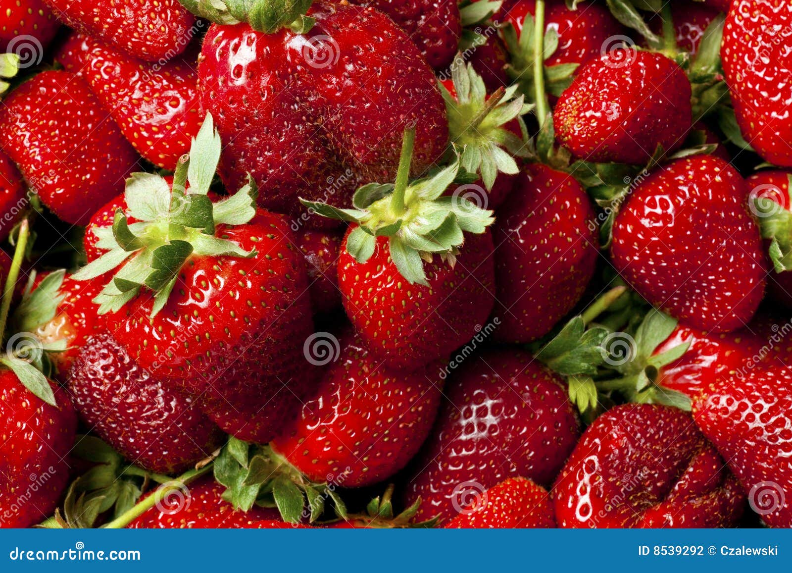 Red strawberries stock photo. Image of green, sweet, berries - 8539292