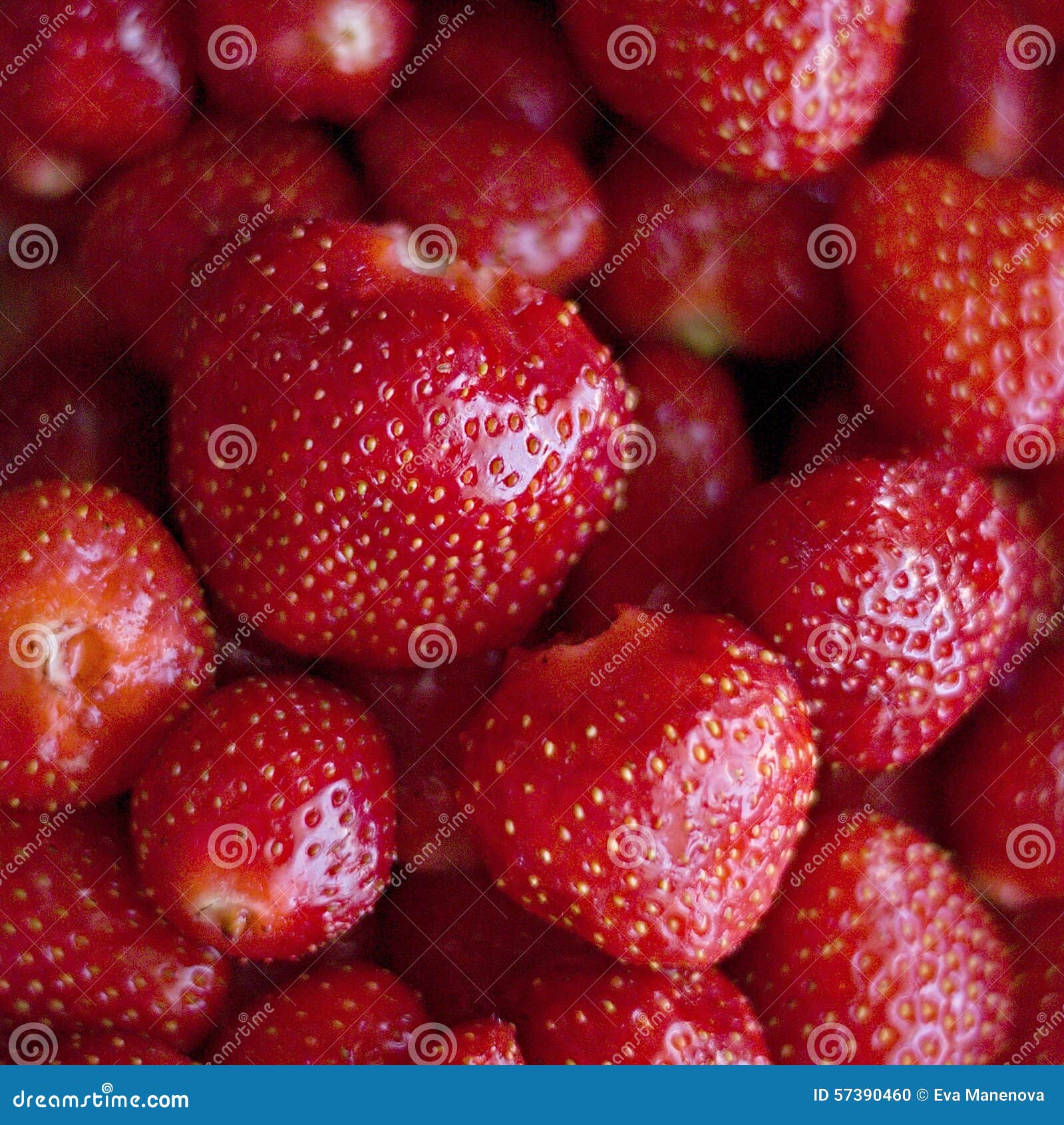 Red strawberries stock photo. Image of picked, fresh - 57390460