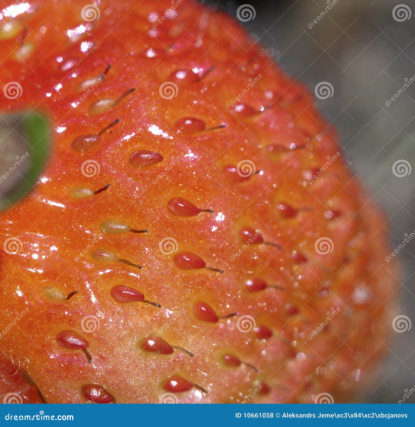 Red strawberry stock photo. Image of eating, descriptive - 10661058