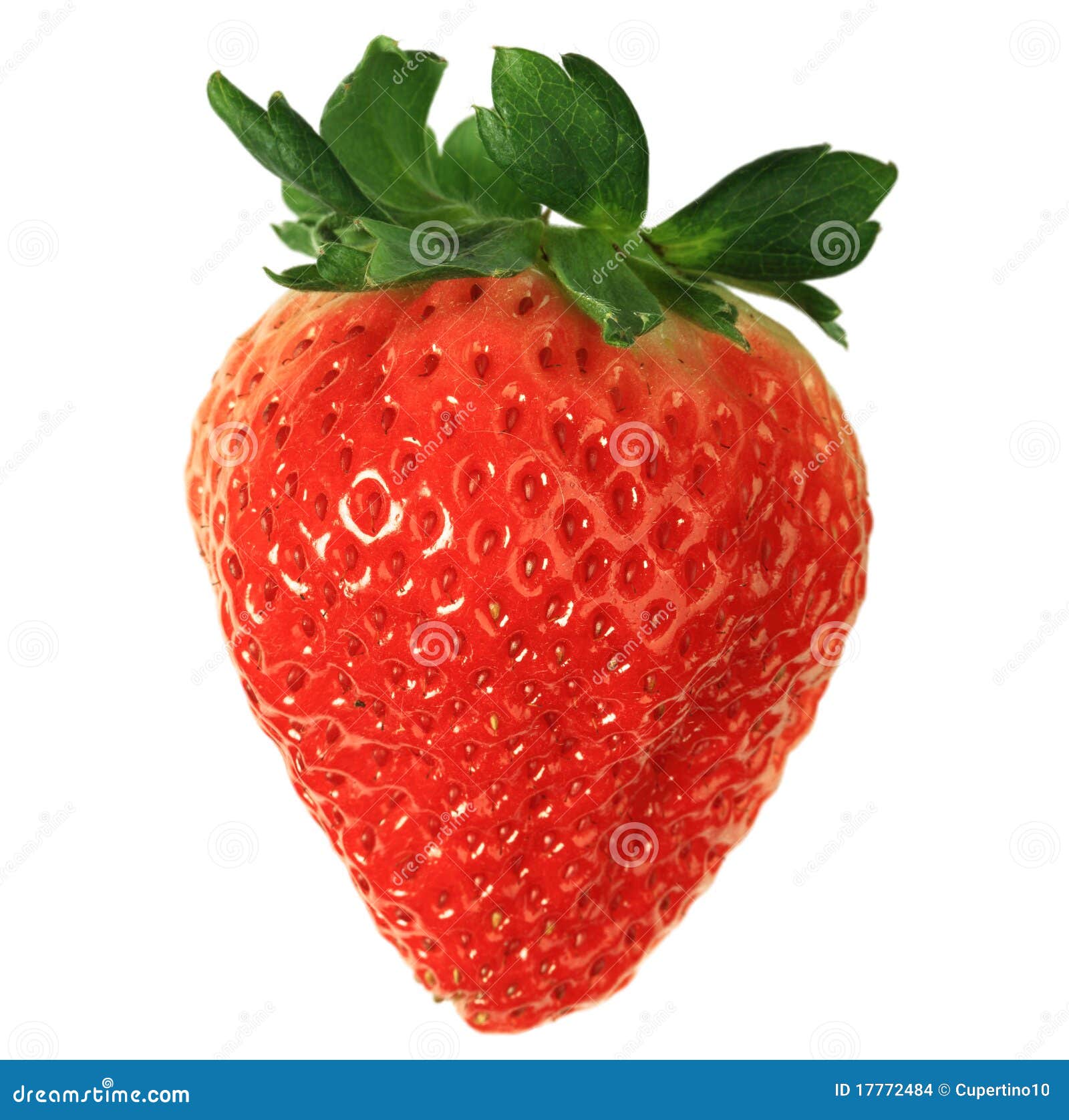 Red strawberry stock photo. Image of fruit, leaf, fresh - 17772484