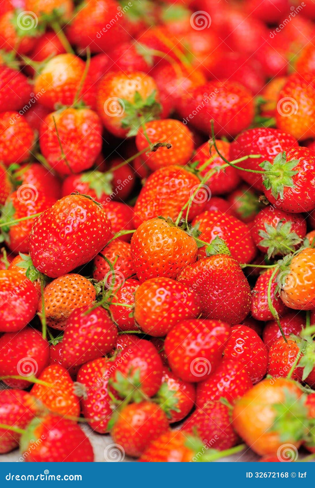 Red strawberry stock photo. Image of plant, market, farm - 32672168