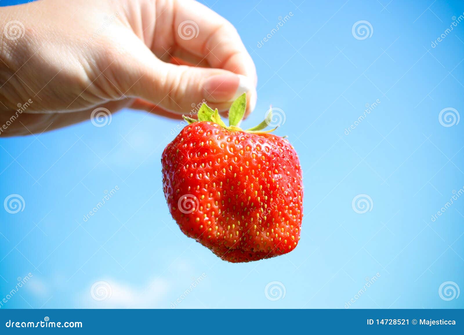 Red strawberry in the hand stock image. Image of beautiful - 14728521