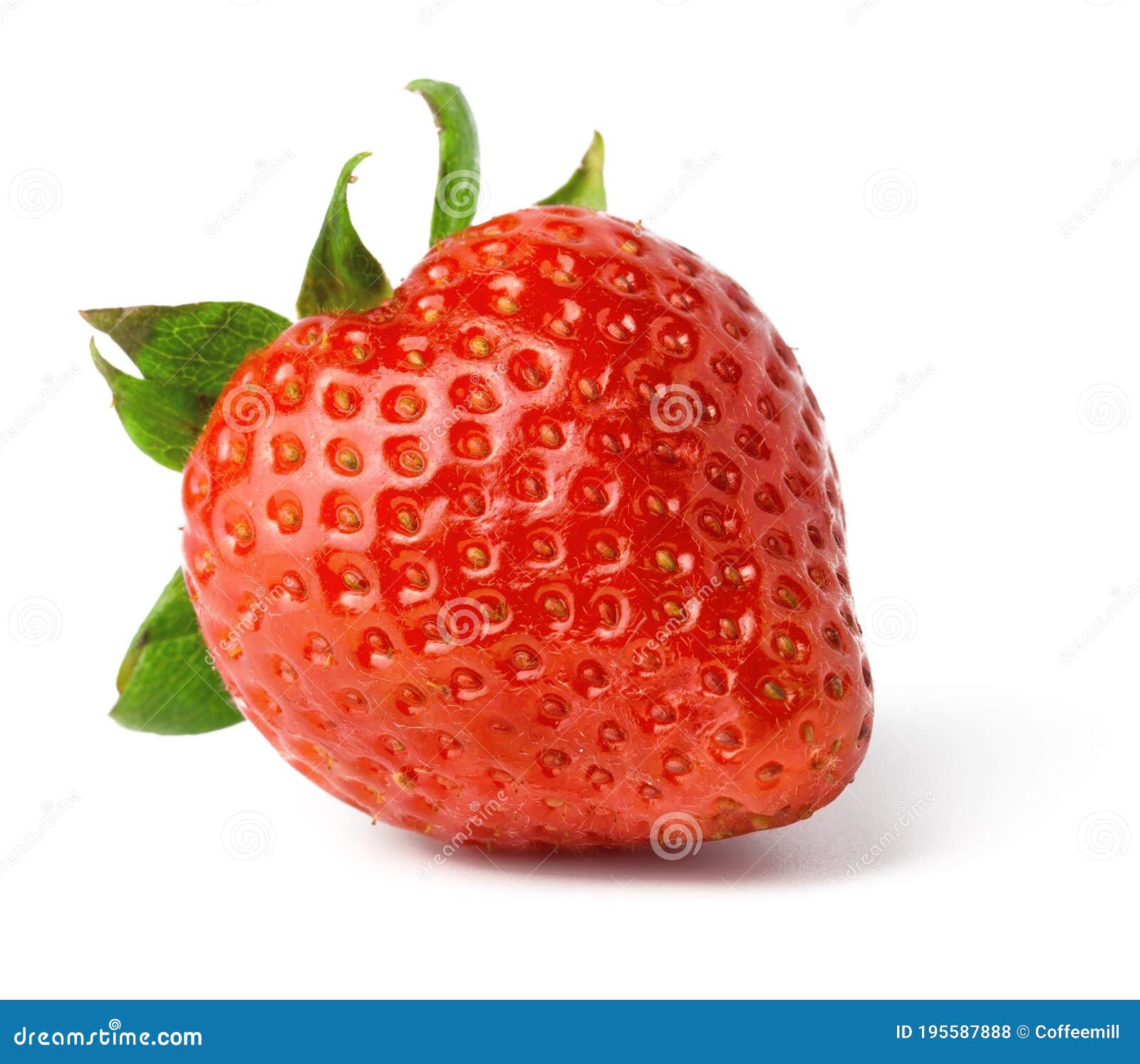 Red strawberry stock photo. Image of color, healthy - 195587888