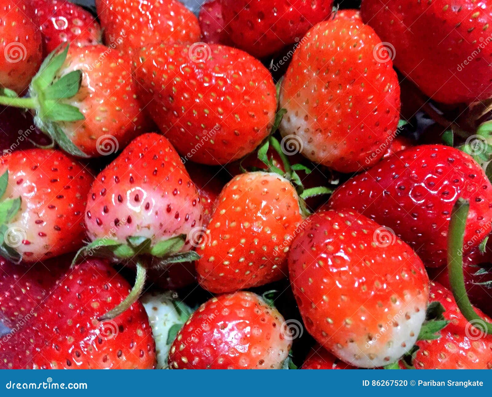 Red strawberry stock photo. Image of strawberry, sweet - 86267520