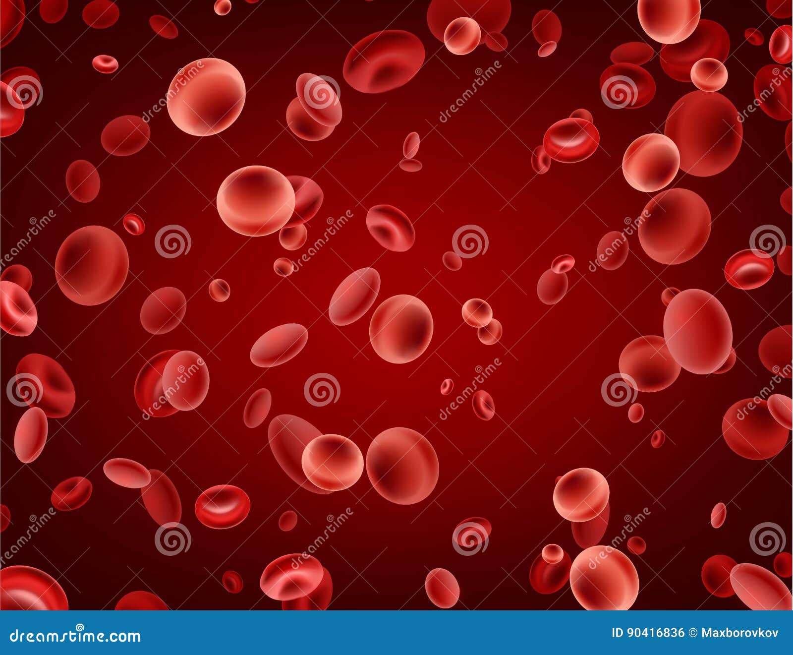Streaming Blood Red Cells. Realistic Macro Erythrocytes Flow Background ...