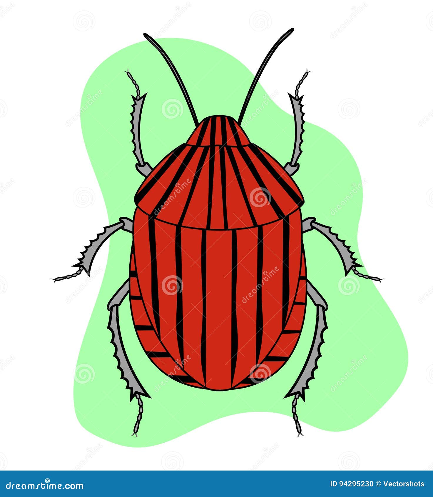 Red Striped Beetle Insect stock vector. Illustration of cockroach ...