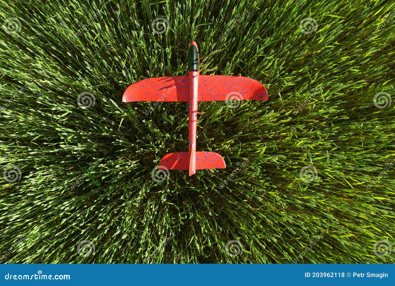 Red Styrofoam Plane is on Grass Stock Photo - Image of styrofoam, grass ...