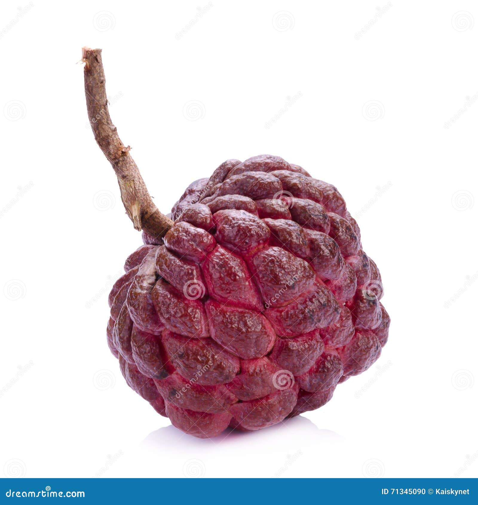 Red Sugar Apple fruit stock photo. Image of thai, ripening - 71345090