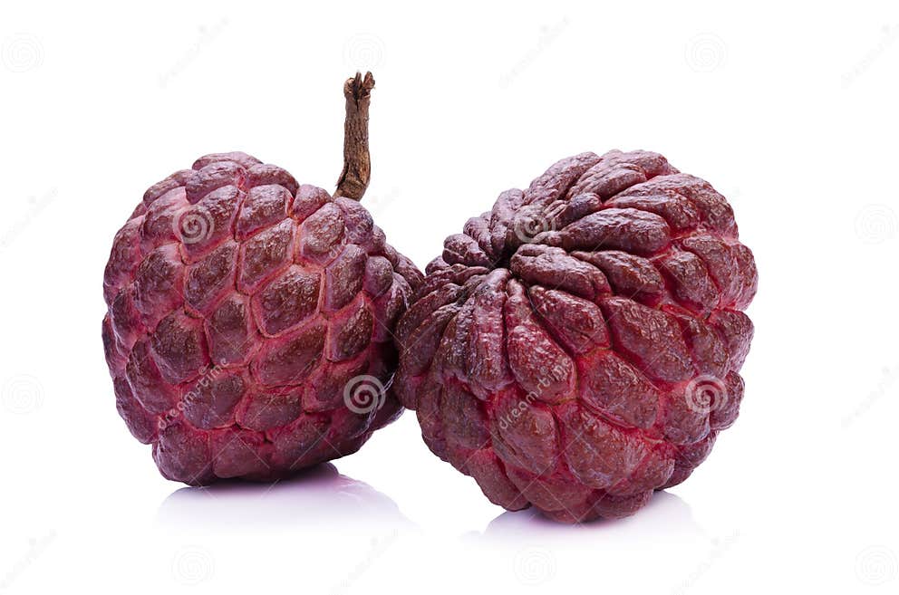Red Sugar Apple fruit stock image. Image of delicious - 71633579