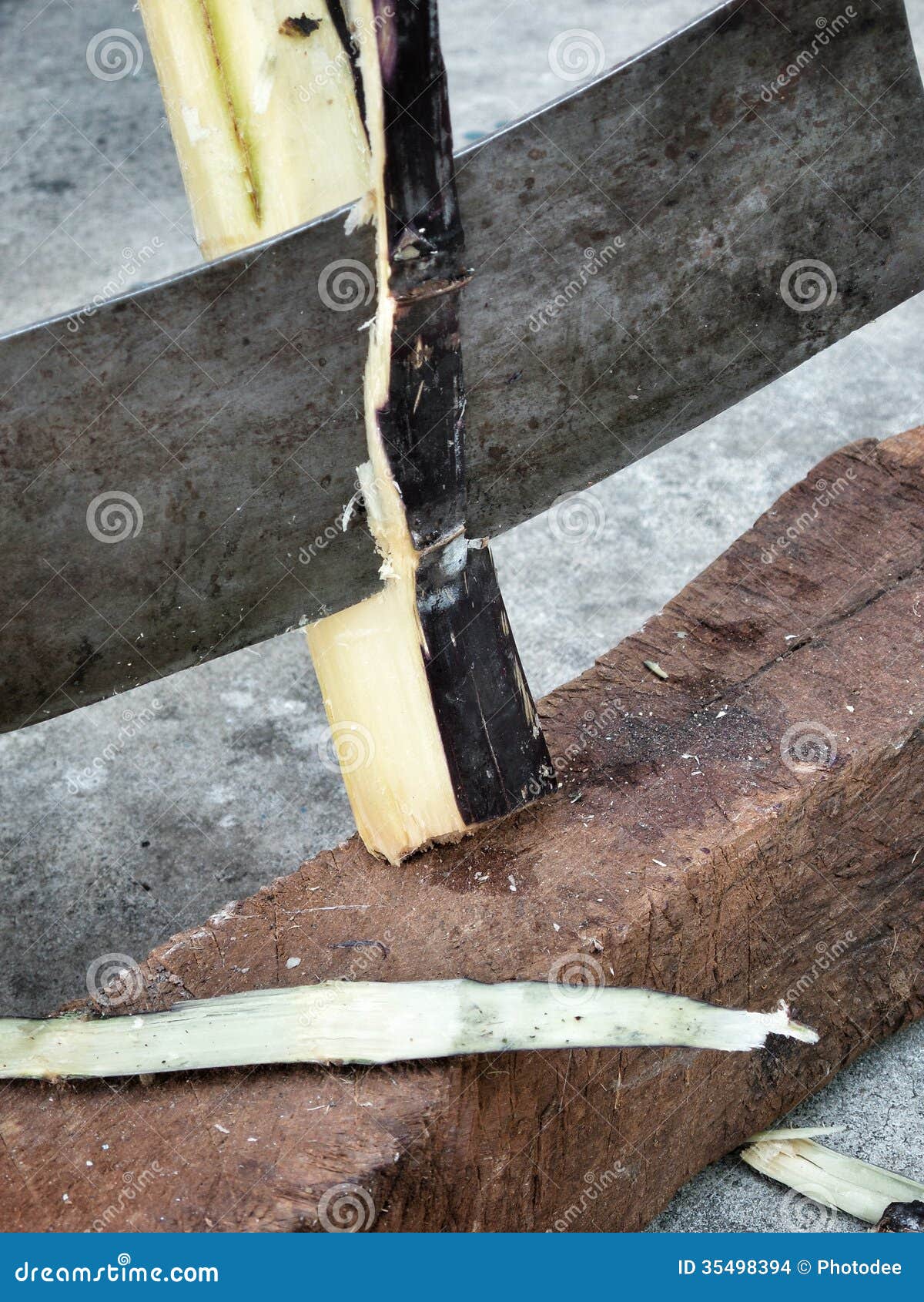Red sugar cane stock photo. Image of fruit, spring, producer - 35498394