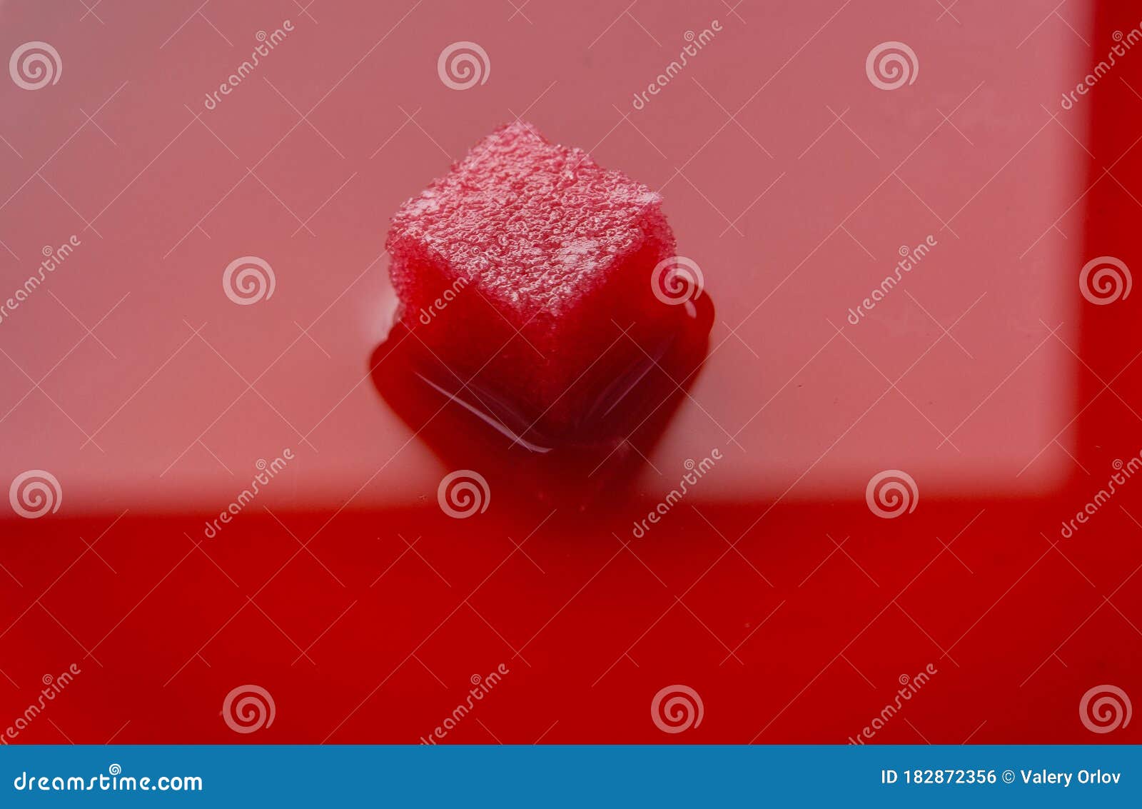Sugar Cubes Melt in Red Water Stock Photo - Image of white, sugar ...